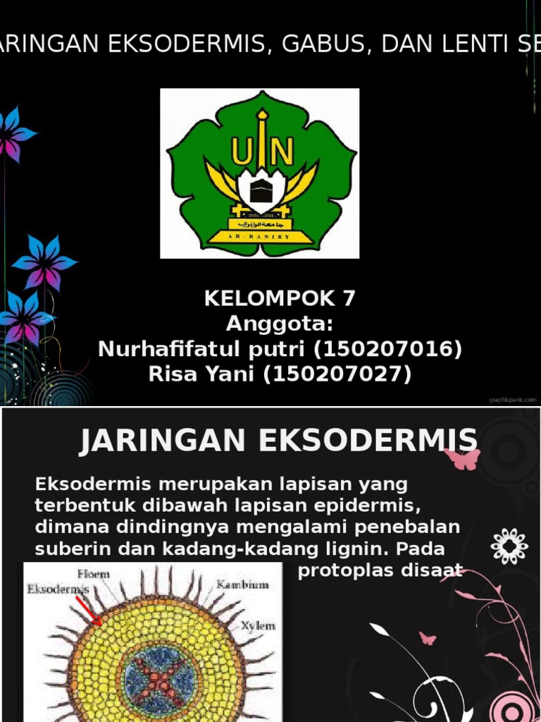 Jaringan Eksodermis, Gabus, Dan Lentisel | PDF