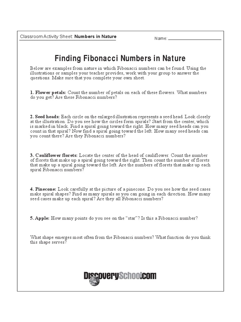 Finding Fibonacci Numbers in Nature | PDF | Language Arts & Discipline