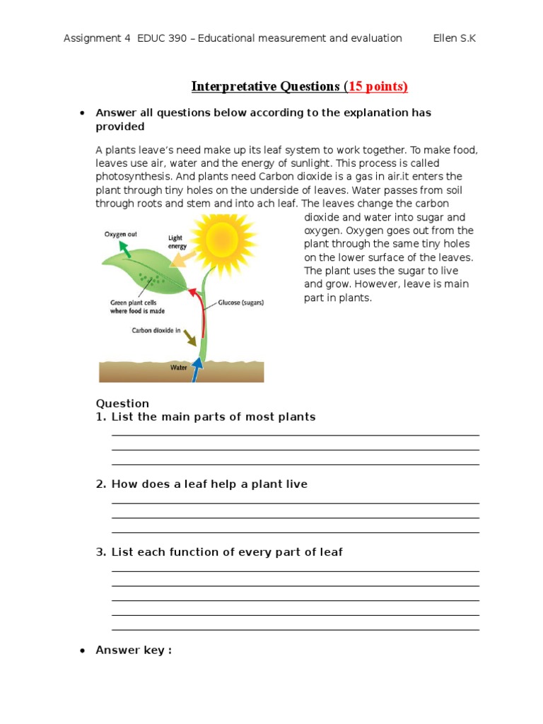 Interpretative Questions (: 15 Points) | PDF