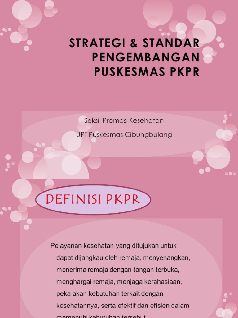 PKPR Puskesmas | PDF