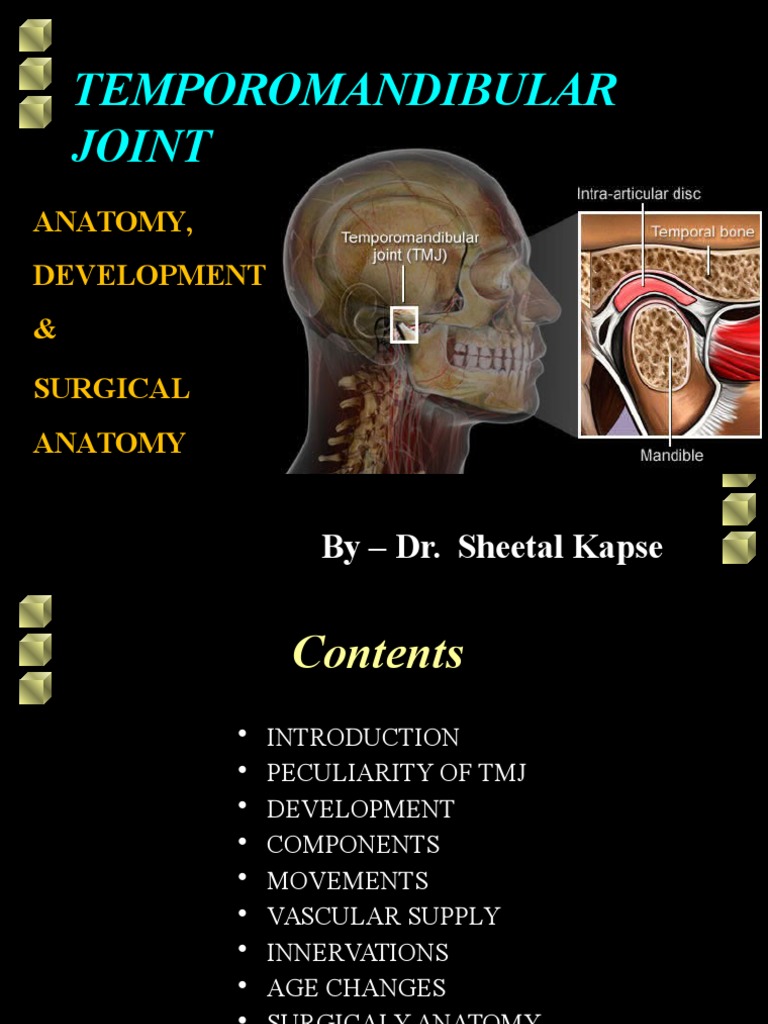 TMJ PPT 130516130311 Phpapp02 | PDF | Primate Anatomy | Human Head And Neck