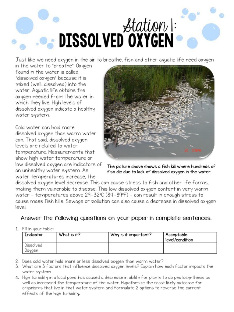 8 e 1 3 Stations Water Quality | PDF | Water | Aquatic Ecosystem