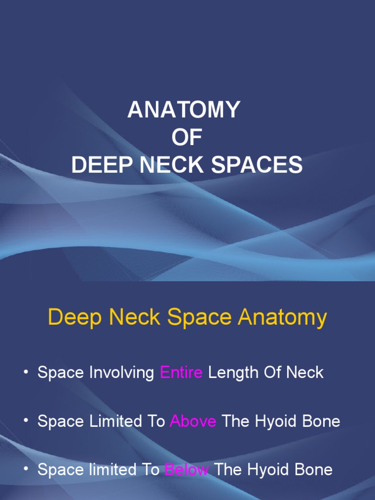 Anatomy of Deep Neck Spaces - Senty | PDF