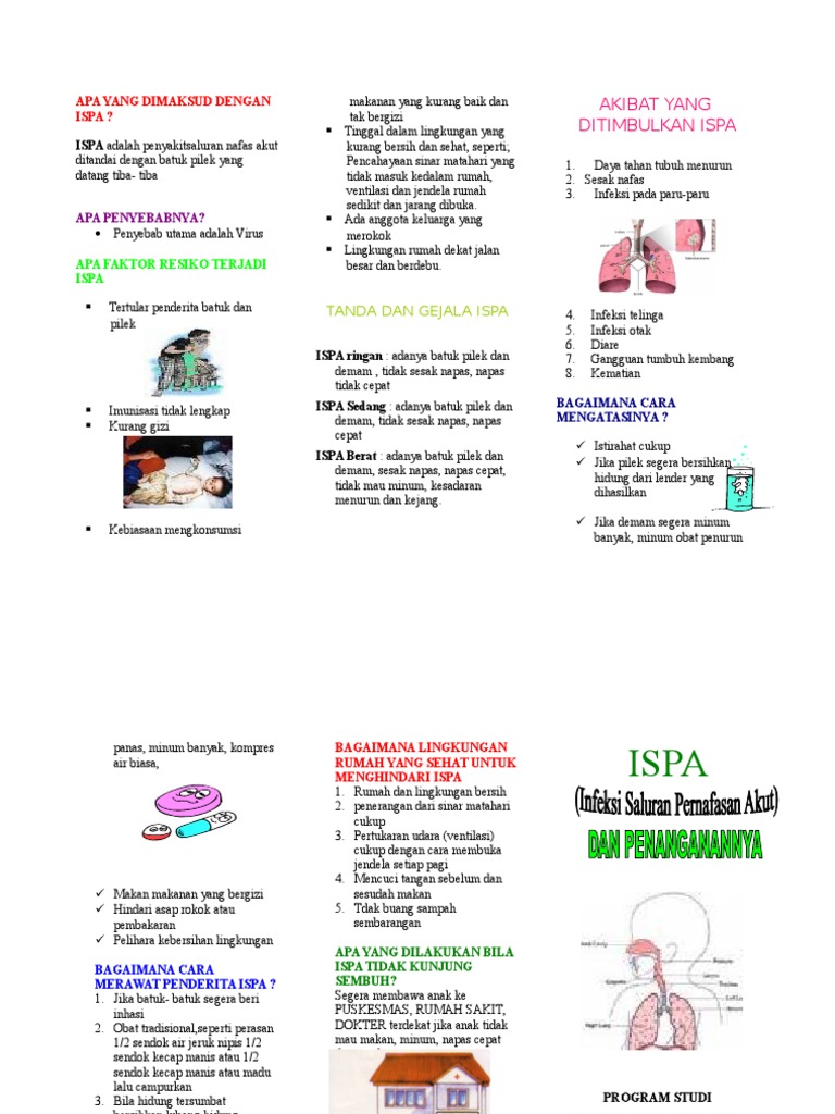 Leaflet ISPA | PDF