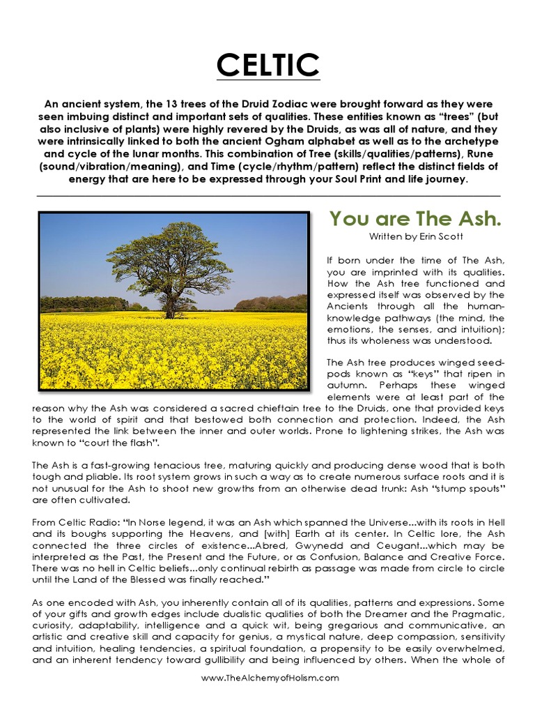 Celtic - The Ash Tree PDF | PDF