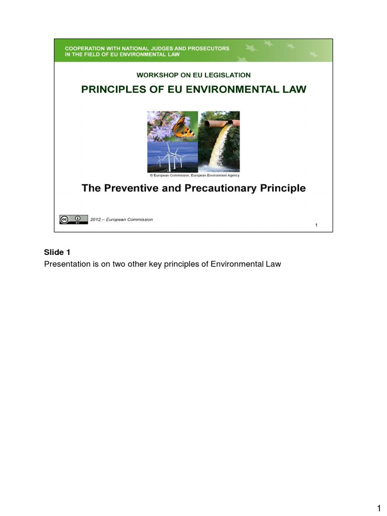 9 Preventive and Precautionary Principles Revised | Download Free PDF ...