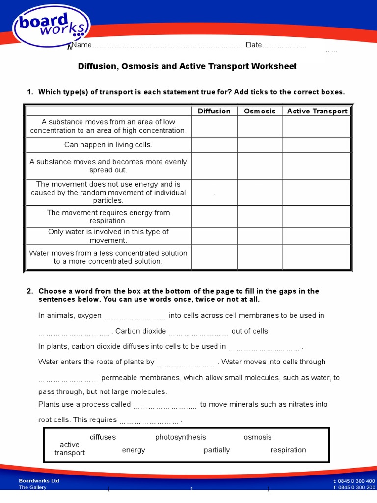 Diffusion And Osmosis Worksheet Answers Biology Worksheets Diffusion