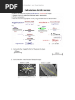 Magnification Worksheet | PDF | Units Of Measurement | Teaching Mathematics