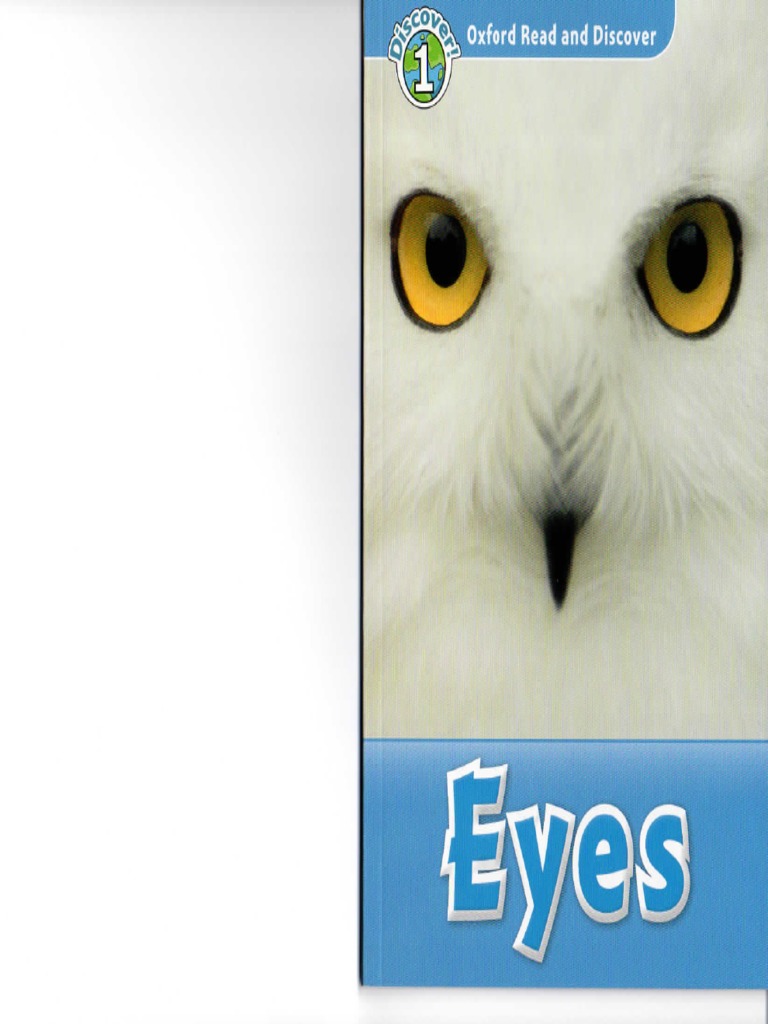 Plan Lector Ingles | PDF