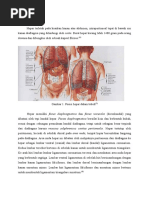 Anatomi dan Segmen Hepar Manusia | PDF