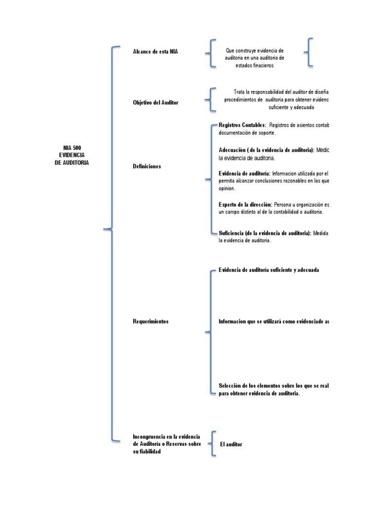 NIA 500 ESQUEMA.pdf | Contralor, auditor | Auditoría financiera