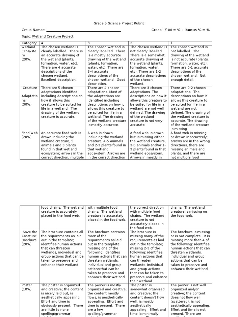 grade 5 science project rubric | Food Web | Wetland