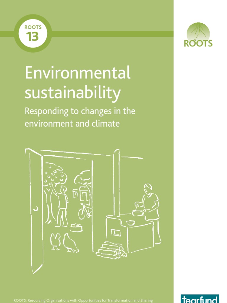 Environmental Sustainability | PDF | Sustainability | Greenhouse Effect