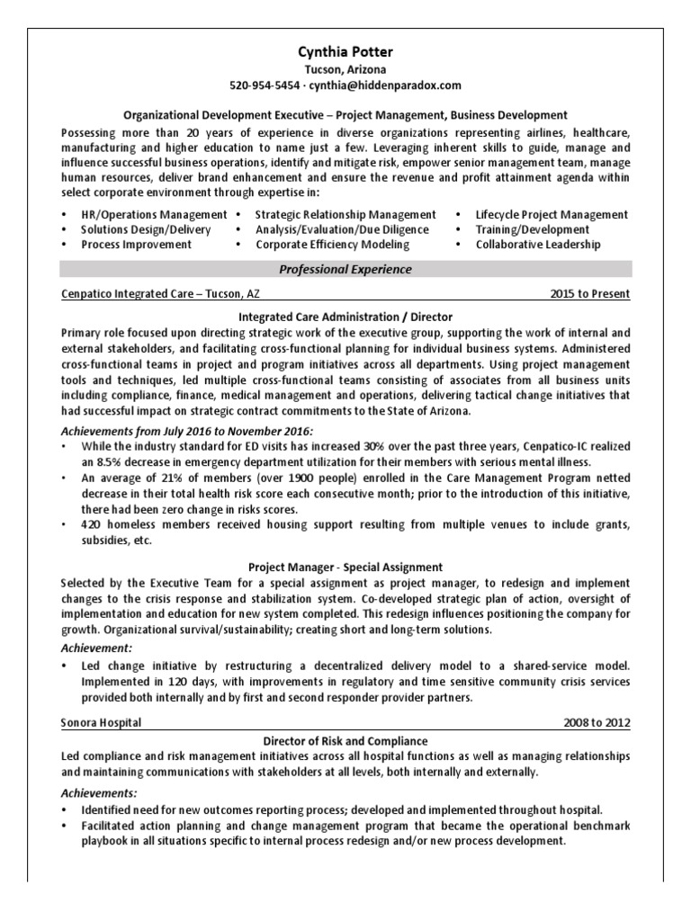 Cynthia Potter Resume | PDF | Project Management | Risk