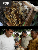 Basic Beekeeping Manual PDF | PDF | Beehive | Beekeeping