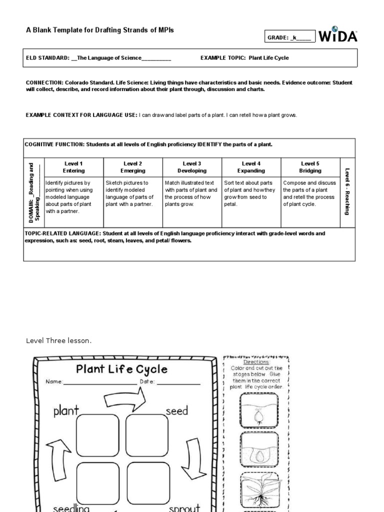 Wida Standards Blank Template | PDF