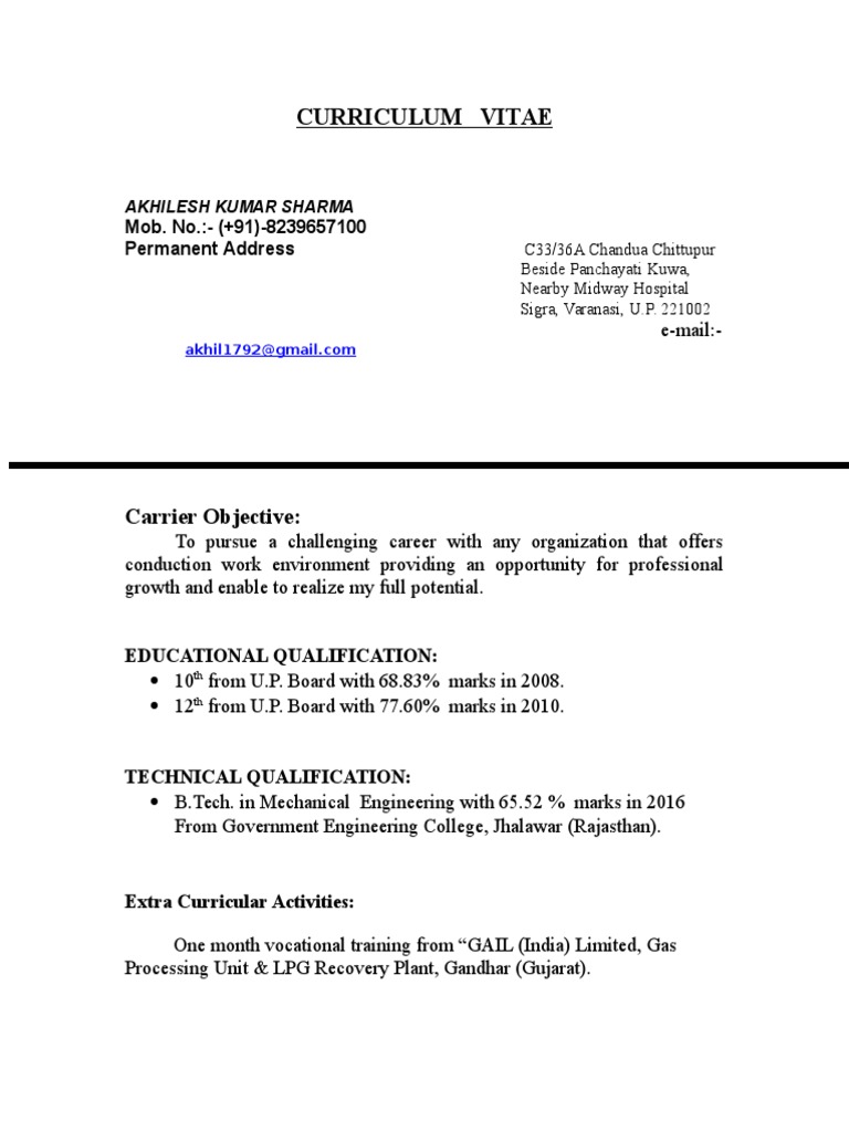 Curriculum Vitae: Carrier Objective | PDF