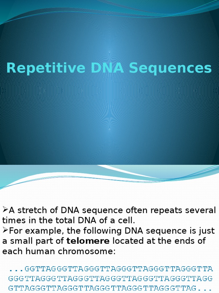 Repetitive DNA Sequences