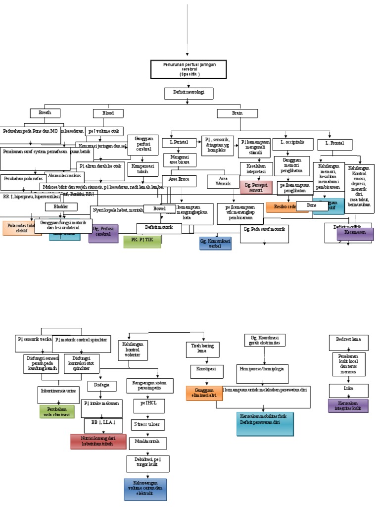 Pathway Cva Ich Umum