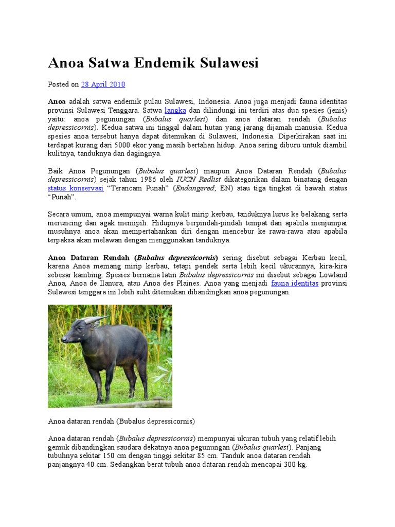 Anoa Satwa Endemik | PDF