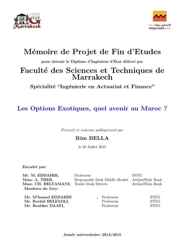 PFE Bella Rim Couverture - Du - Risque - de - Change | PDF | Option (Finance) | Put