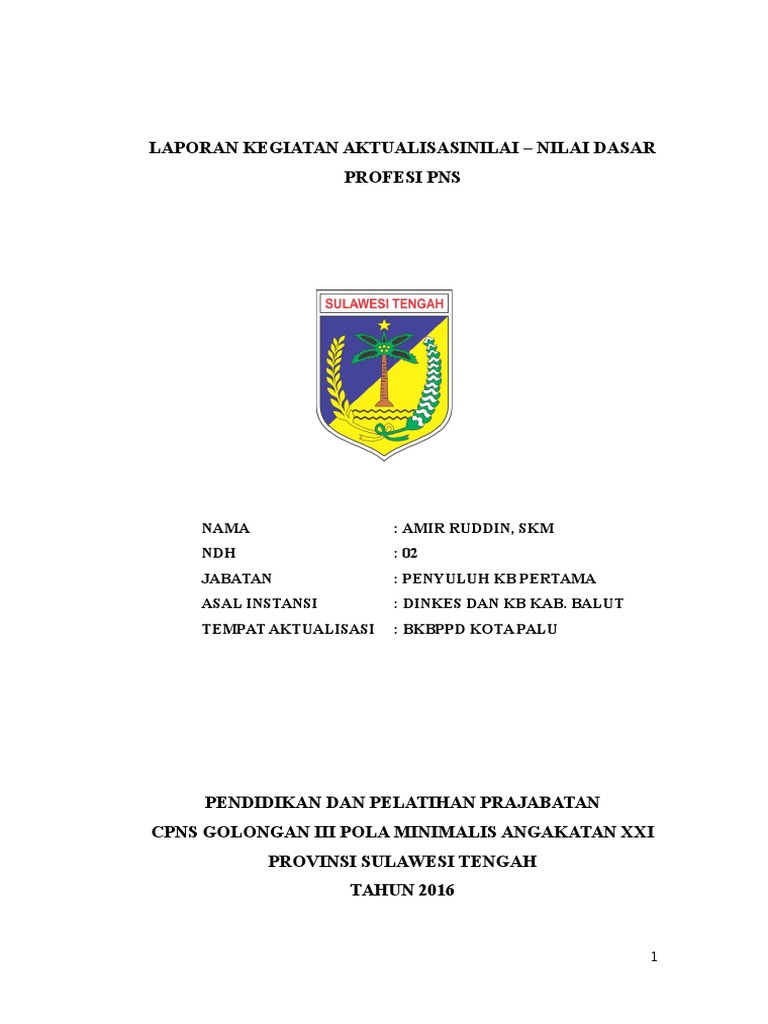 Laporan Aktualisasi (Amir Ruddin, S.KM) | PDF