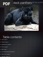 Black Panther: Adaptations and Habitat | PDF | Leopard | Cougar