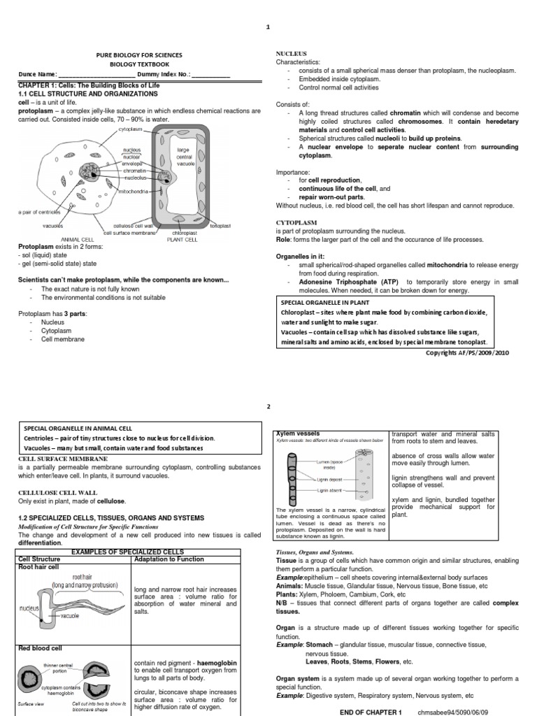 Simplified Notes For Biology Studies | PDF | Enzyme | Carbohydrates