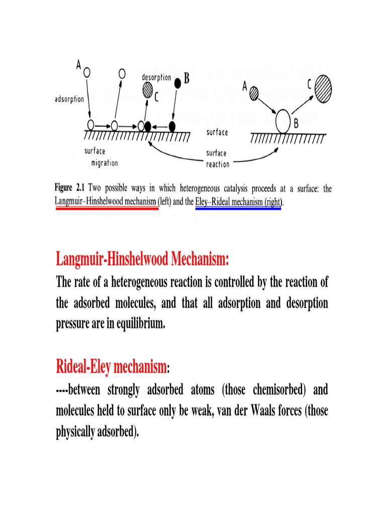 Langmuir-Hinshelwood Mechanism PDF | PDF