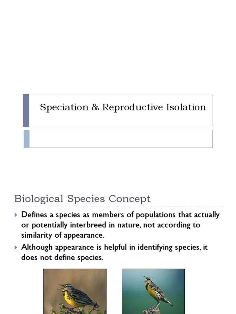 Reproductive Isolation and Speciation Updated For Ap | PDF | Hybrid ...