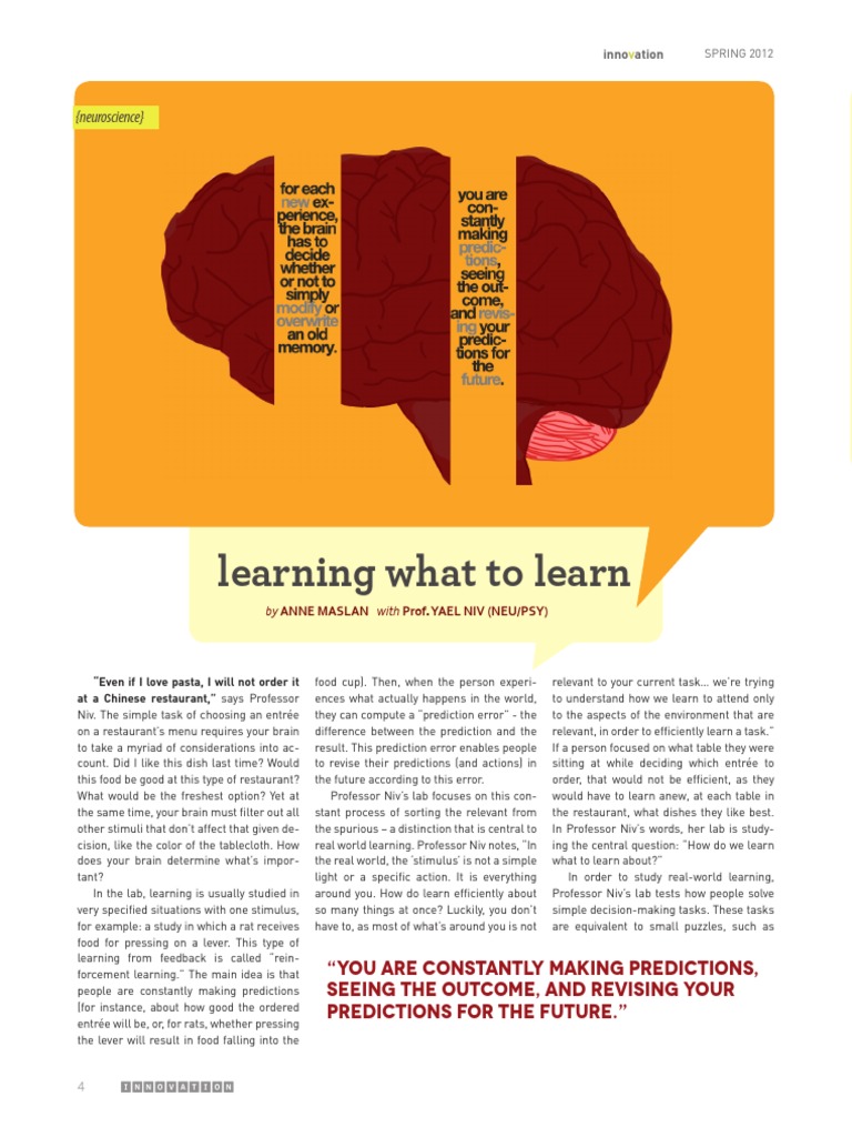 Learning What To Learn | PDF | Memory | Prediction