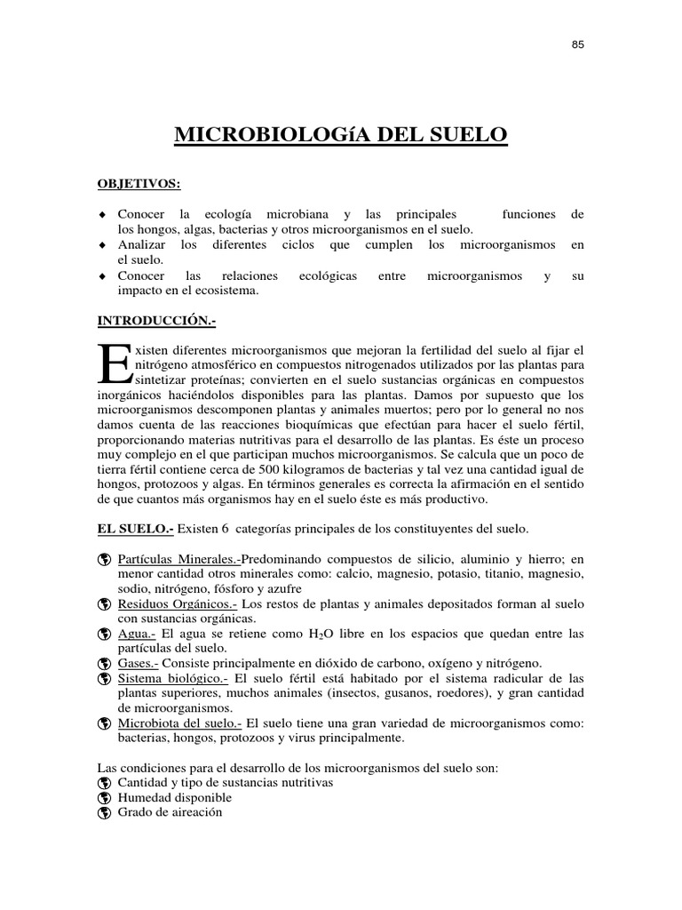 Microbiologia Segunda Parte | PDF | Microorganismo | Suelo