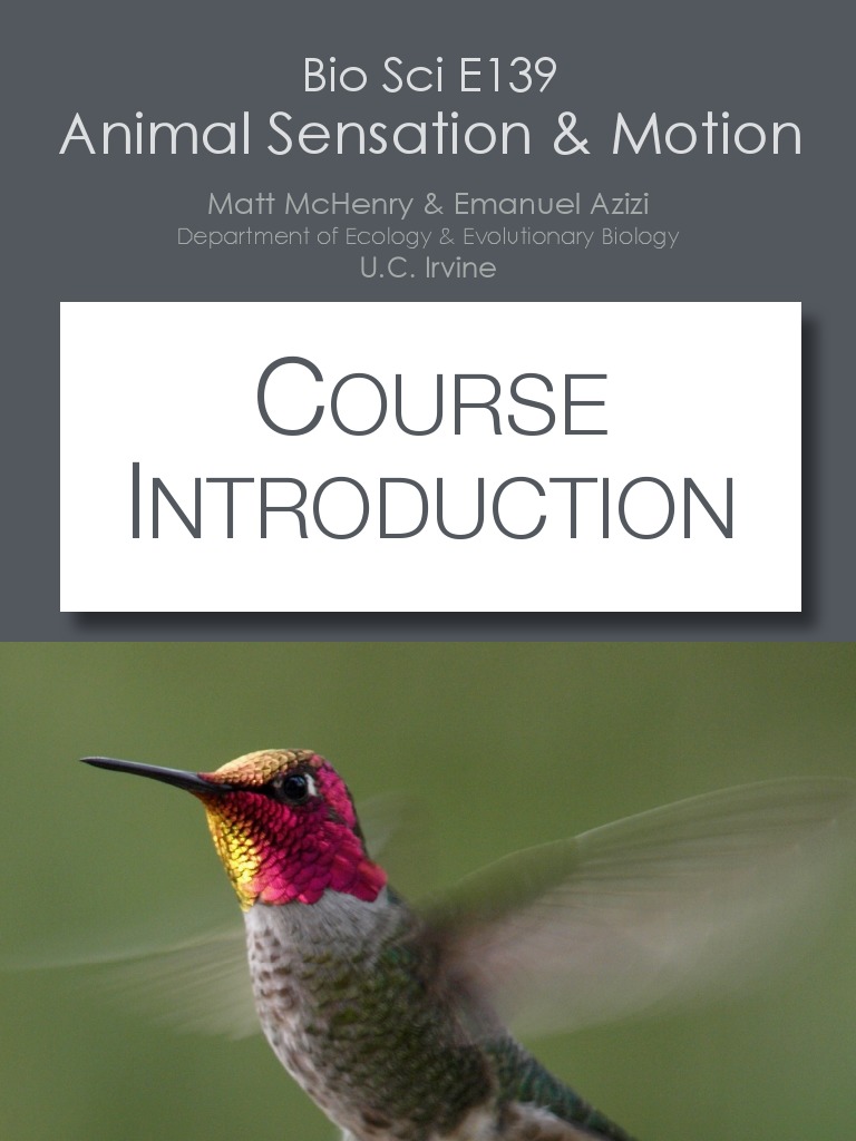 Animal Sensation & Motion: Matt Mchenry & Emanuel Azizi | PDF | Force ...