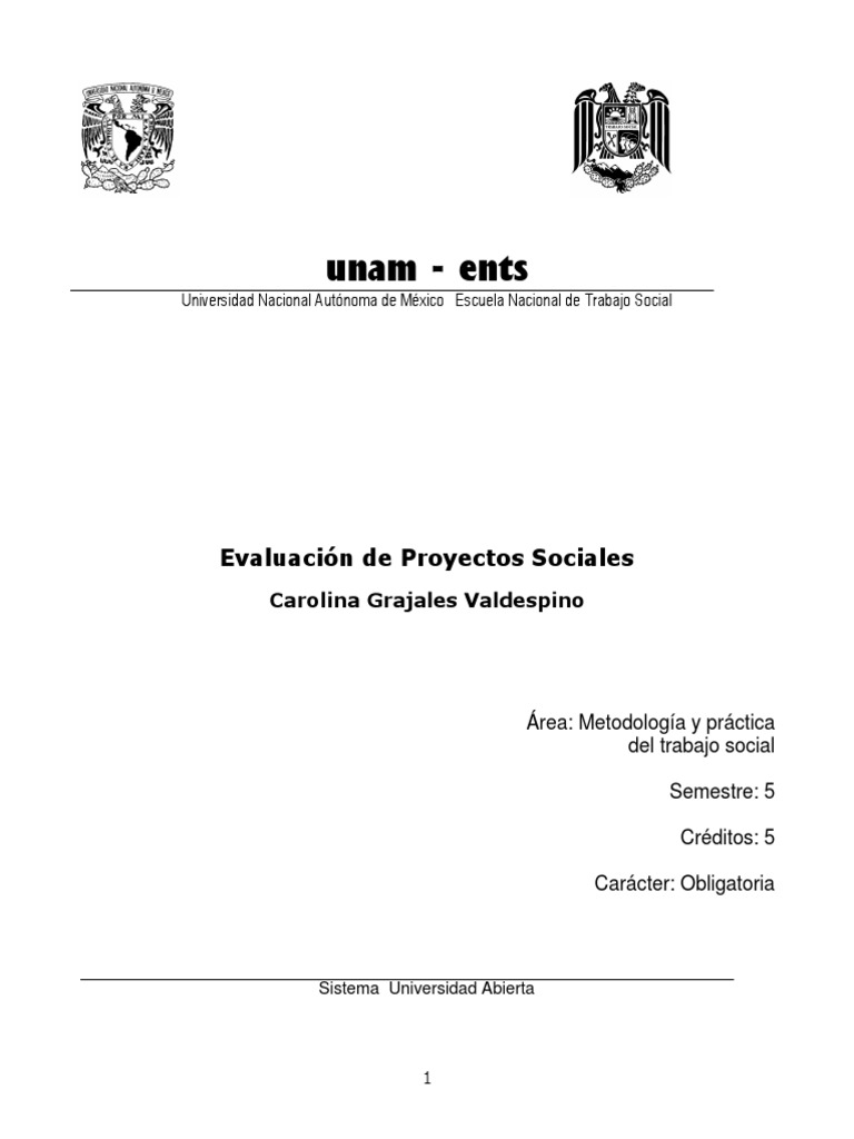 Evaluacion Proyectos 5b1 5d PDF | PDF | Planificación | Trabajo Social