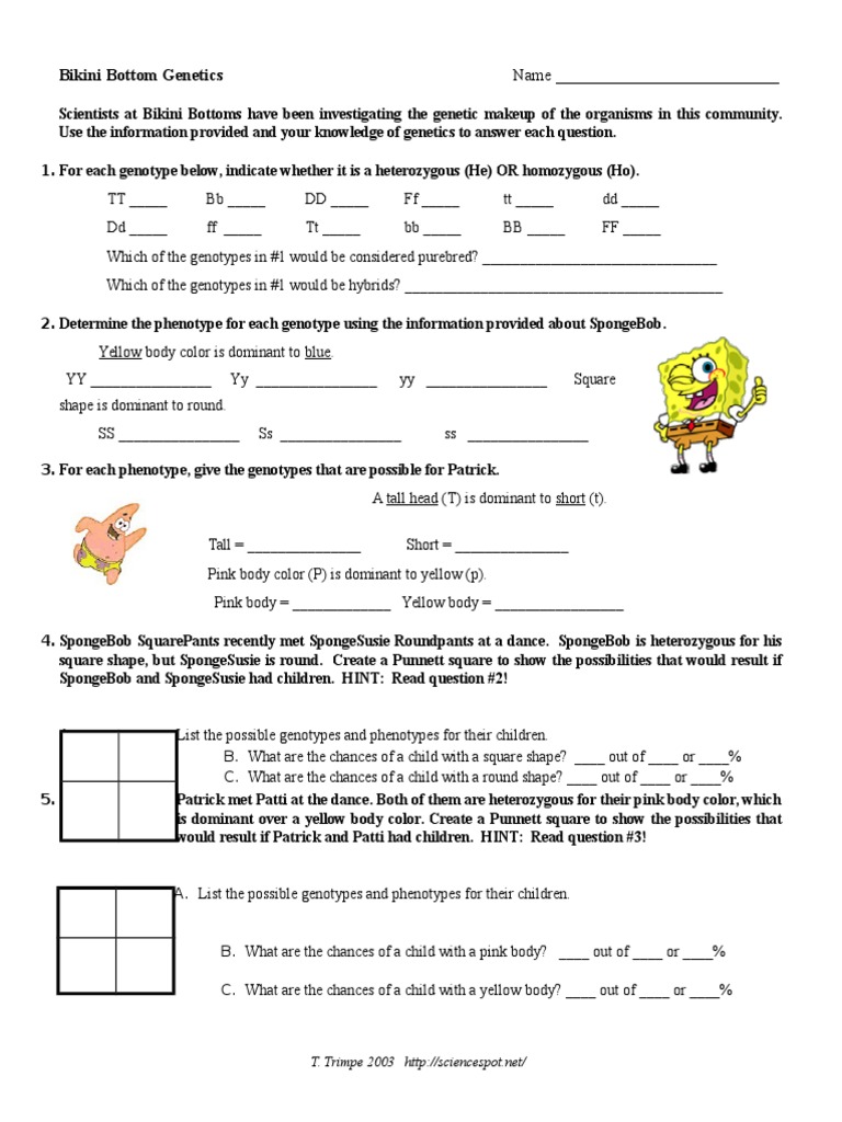 Bikini Bottom Genetics Answer Key | PDF | Dominance (Genetics) | Genotype
