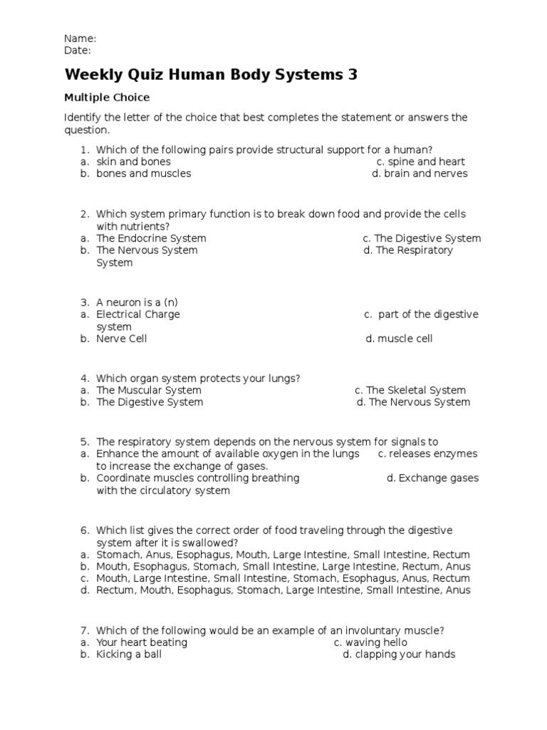 Weekly Quiz on Human Body Systems | PDF | Human Digestive System ...