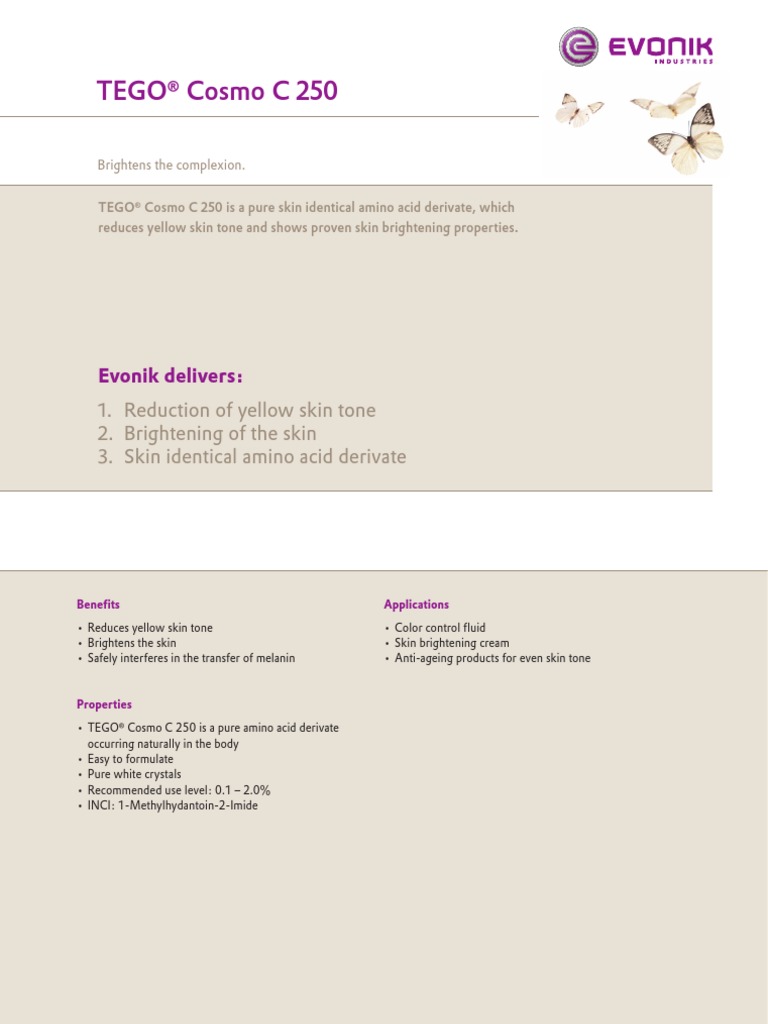 Flyer TEGO Cosmo C 250 | PDF | Human Skin Color | Business