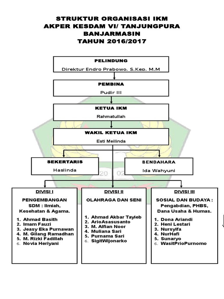 Struktur Organisasi Ikm 2 | PDF