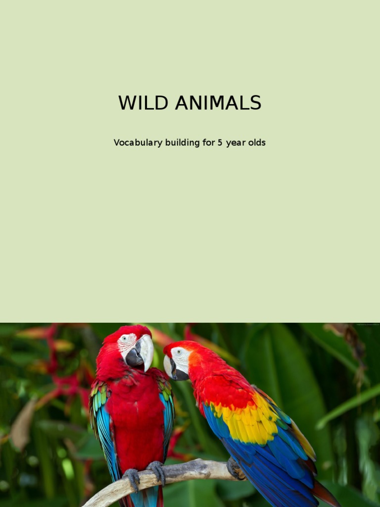 Wild Animals | PDF