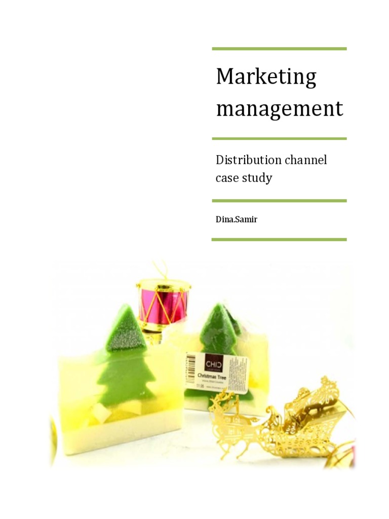 Distribution Channel Case Study | PDF | Target Audience | Brand