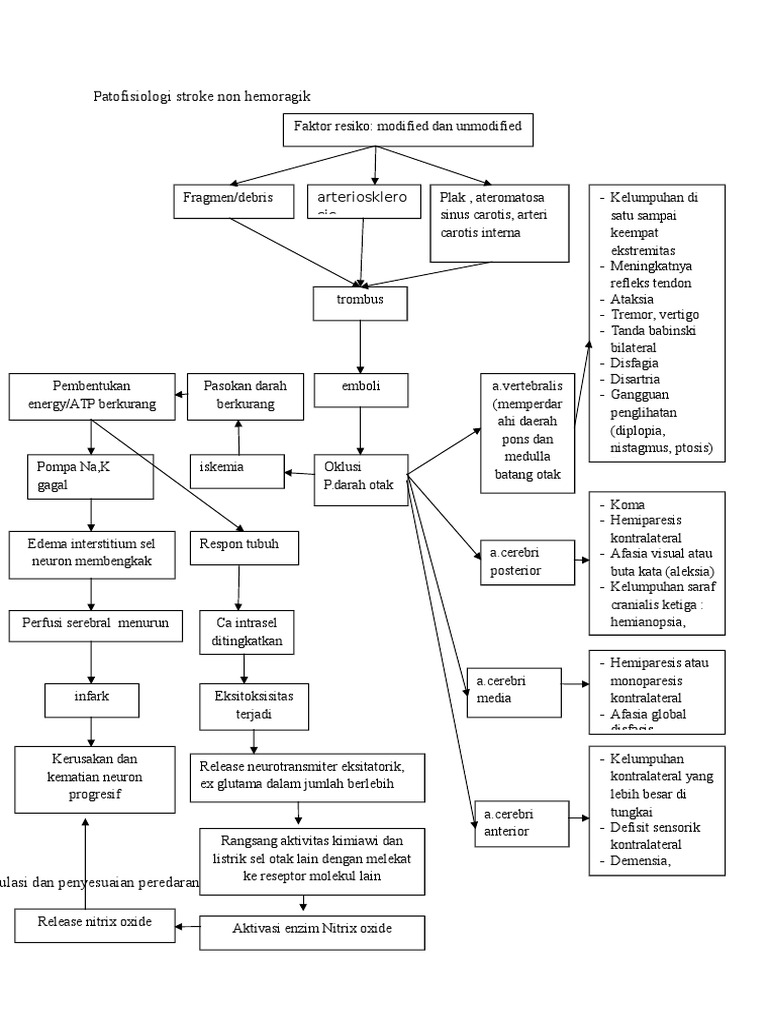 Patofisiologi Stroke Non Hemoragik | PDF
