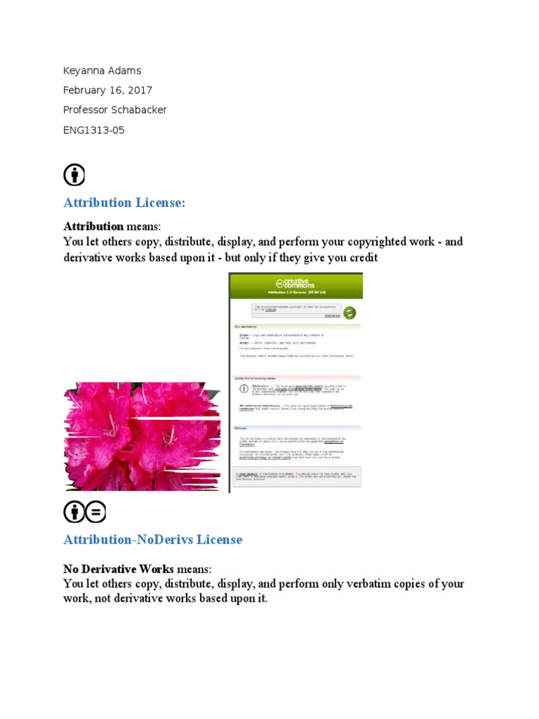 Attribution License | PDF