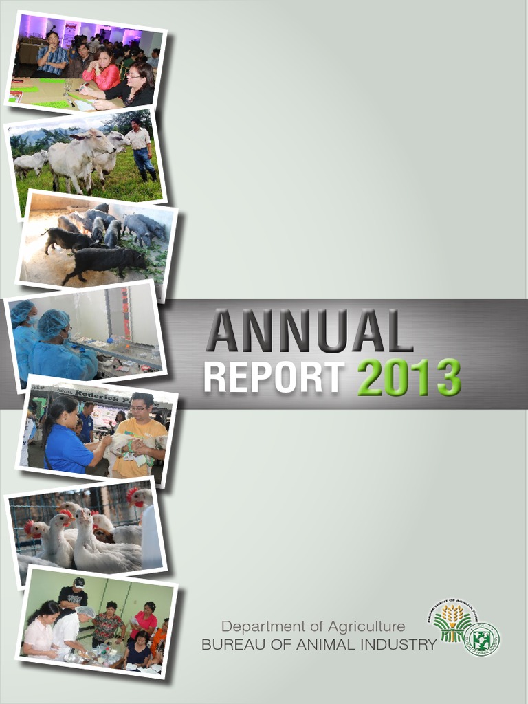 BAI Annual Report 2013 | Download Free PDF | Livestock | Avian Influenza