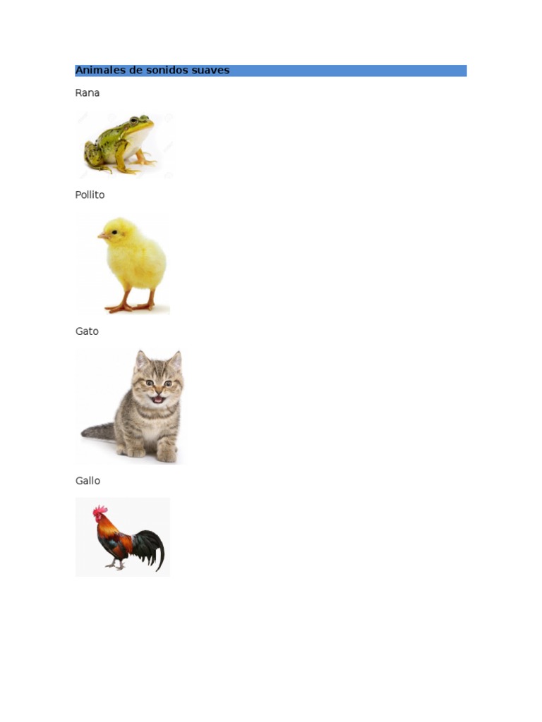 Animales de Sonidos Suaves y Fuertes