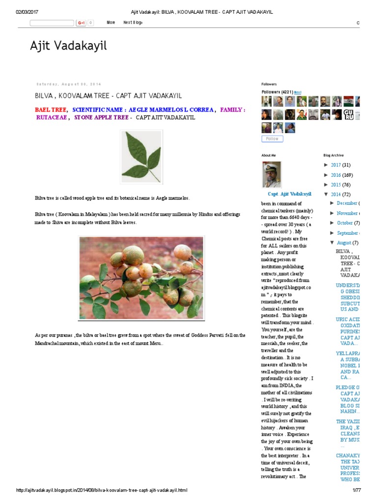 Ajit Vadakayil_ Bilva , Koovalam Tree - Capt Ajit Vadakayil | Devi | Shiva