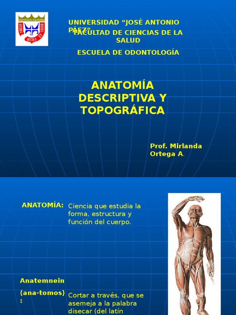 1 Anatomia Descriptiva y Topografica | PDF