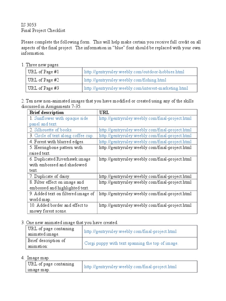 Final Project Checklist | PDF