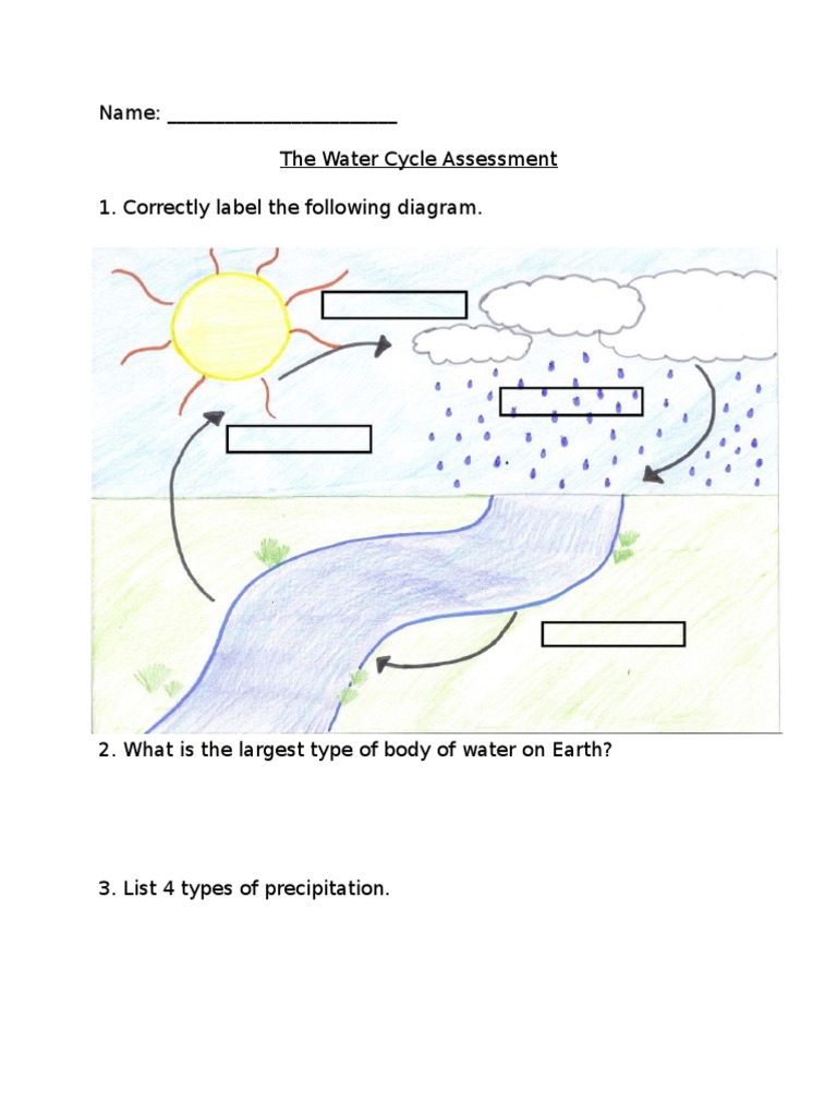 Name: - The Water Cycle Assessment 1. Correctly Label The Following ...