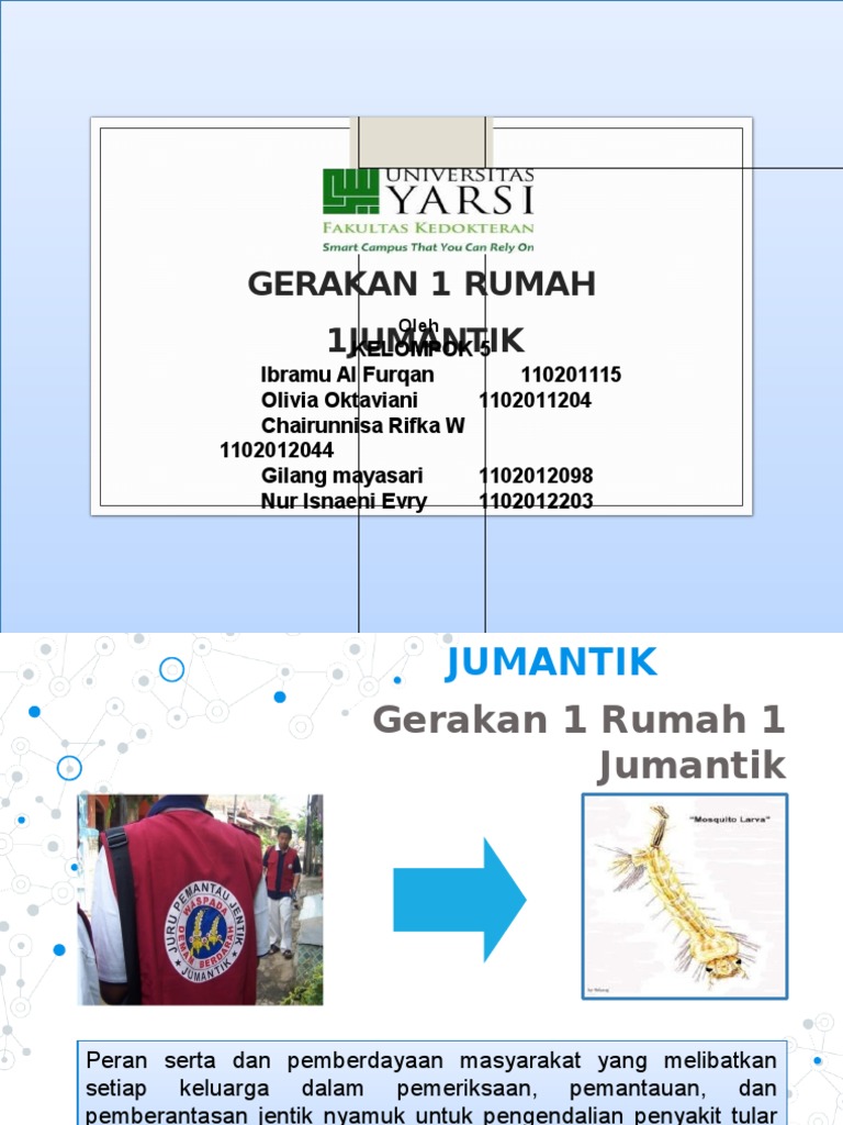 1 Rumah 1 Jumantik | PDF