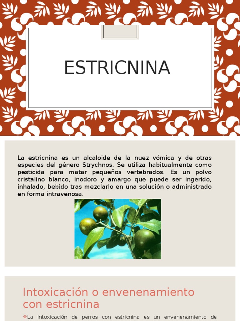 Estricnina | PDF | Relaciones personales, crianza y desarrollo personal ...